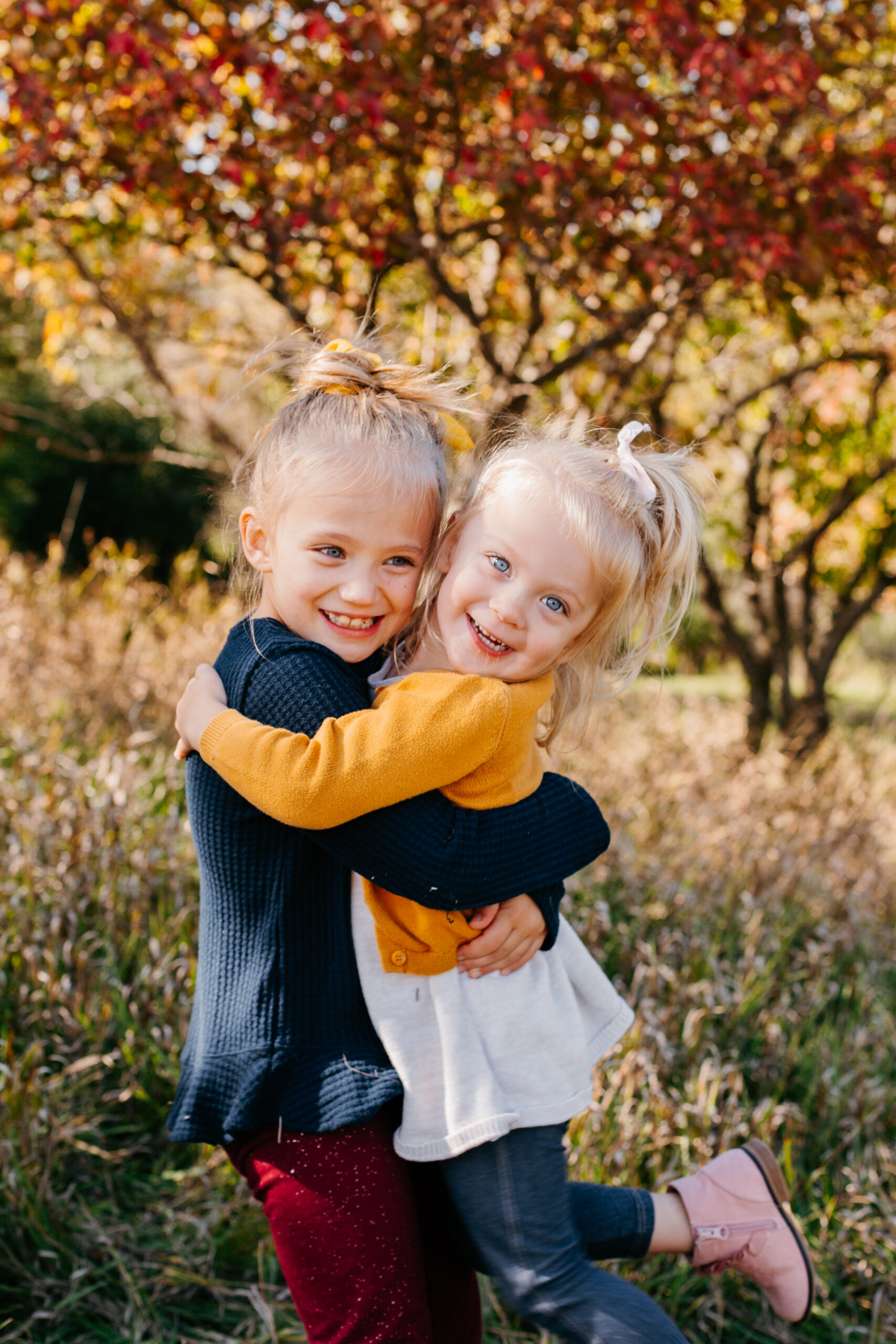 Red Tree Mini Sessions » Nicole Marie Photography
